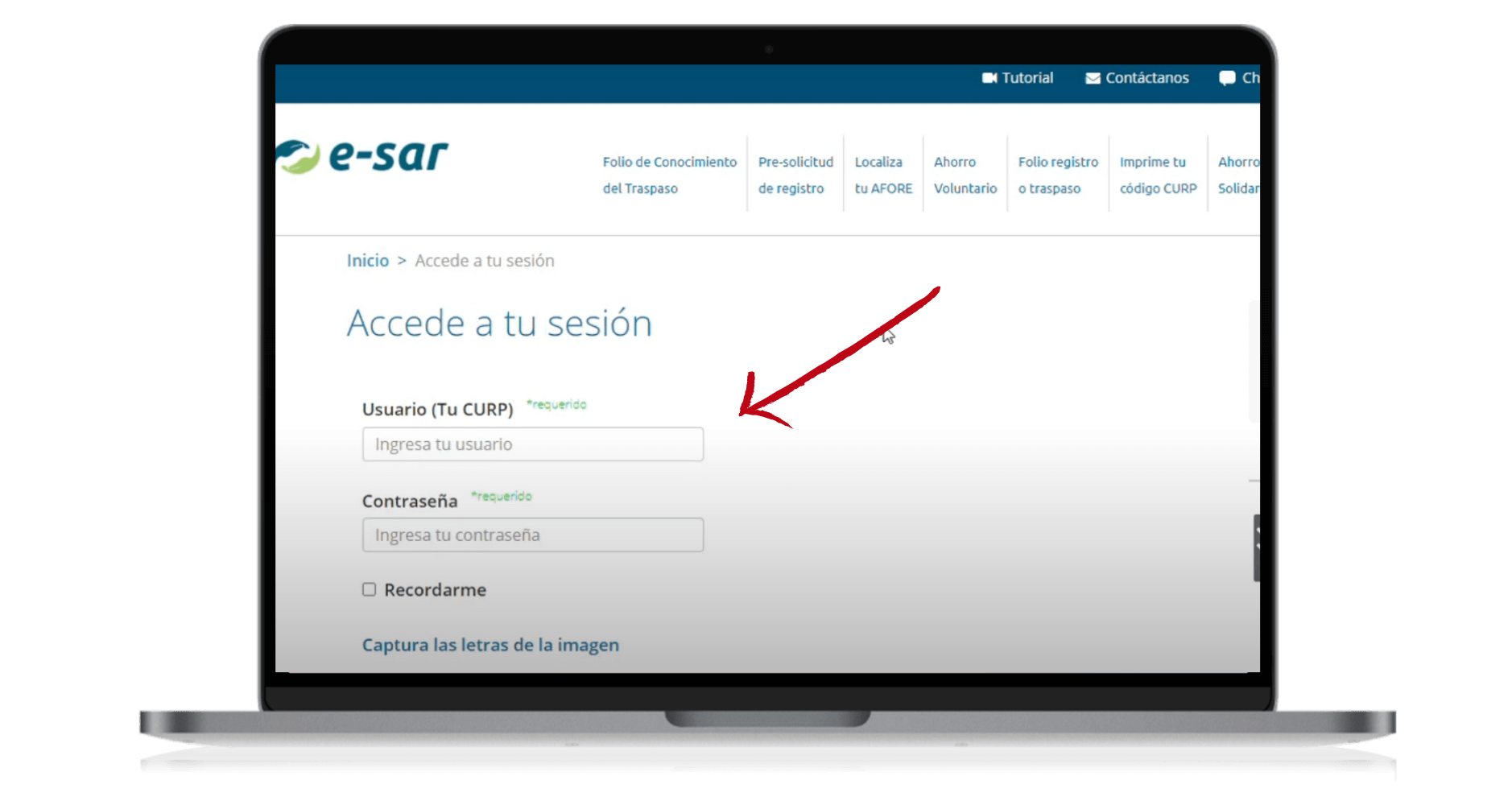 Ayuda por desempleo Afore Citibanamex | Requisitos y Consejos | Kardmatch